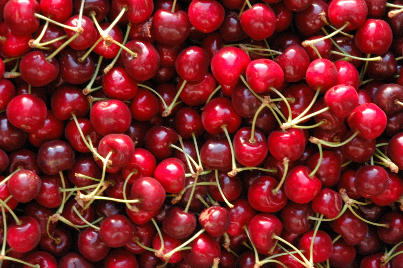 La cereza, una fruta pequeña que ayuda enormemente a nuestra salud ...