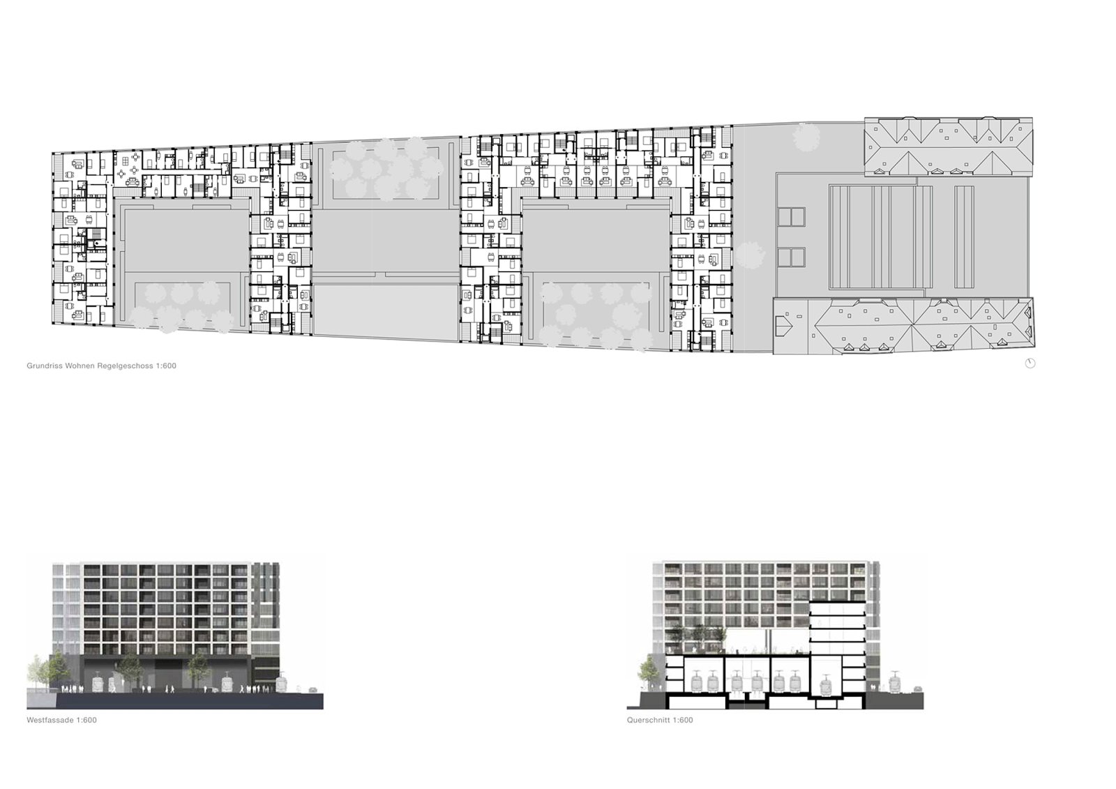 XDGA – a f a s i a