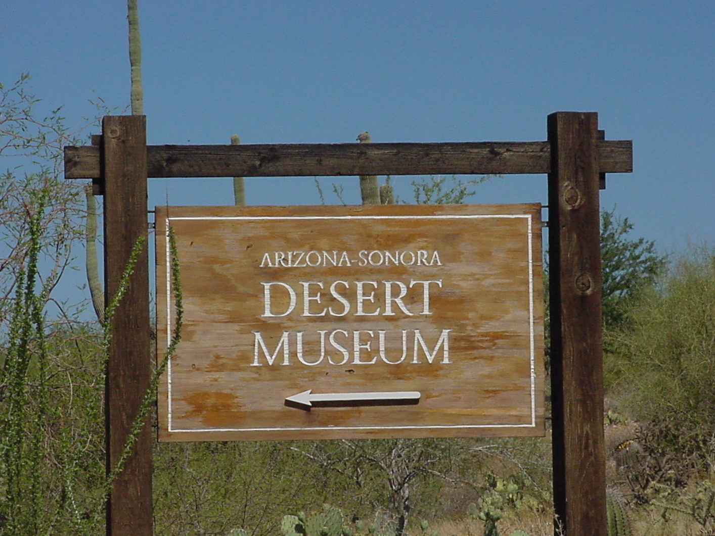 Finding Arizona: Arizona-Sonora Desert Museum