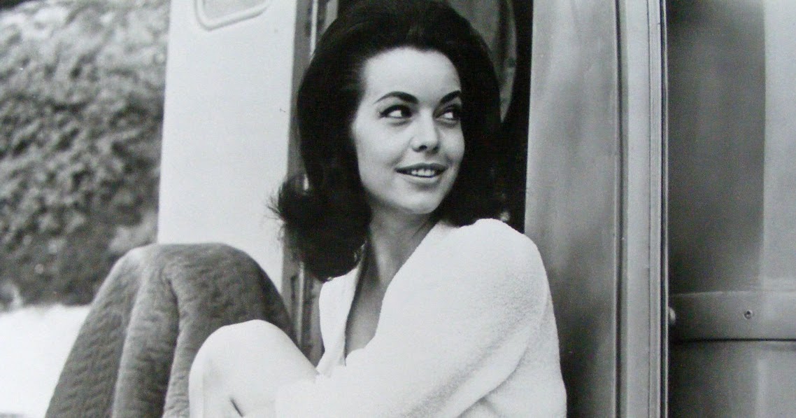 Slice of Cheesecake: Susan Hart, pictorial