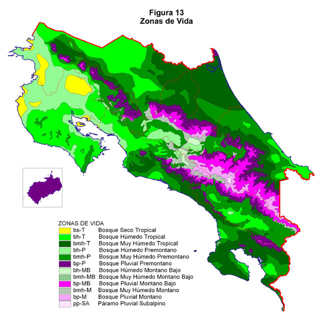 ECOSISTEMAS DE COSTA RICA: BOSQUE TROPICAL SECO