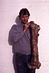 California State Dinosaur