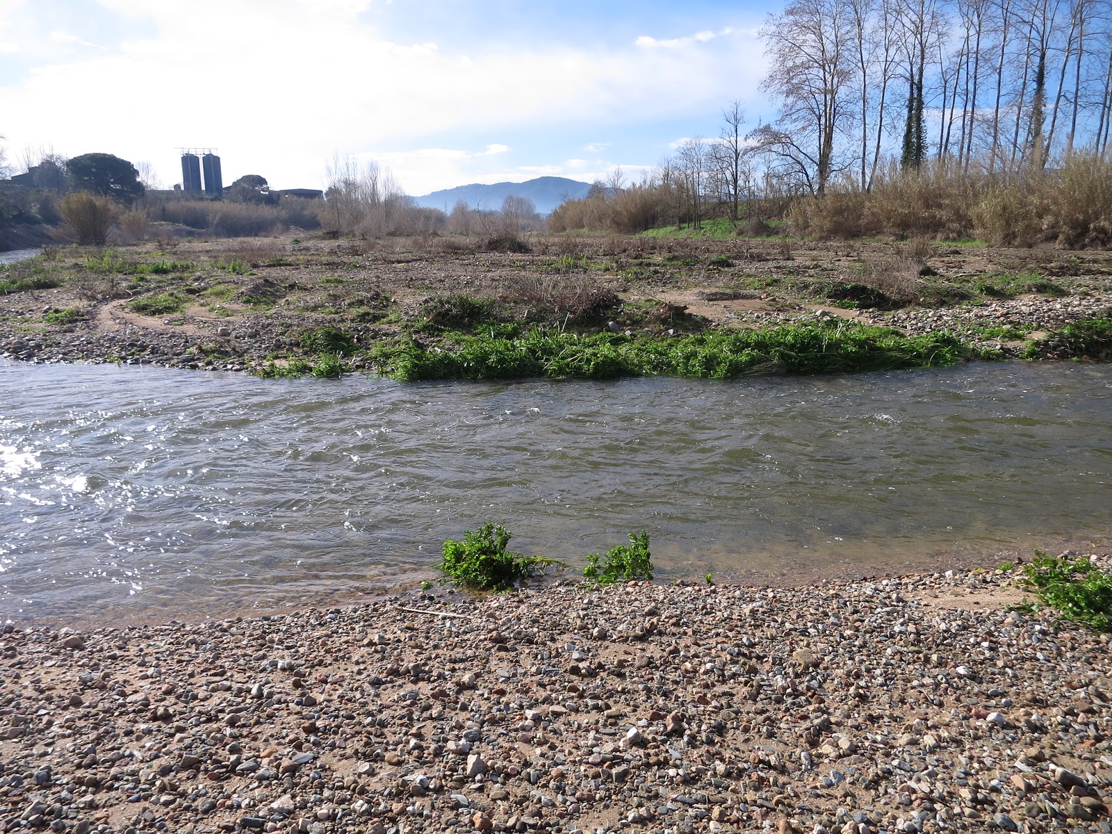 La Natura a la Baixa Tordera: Riu Tordera a l'alçada de La Júlia ...