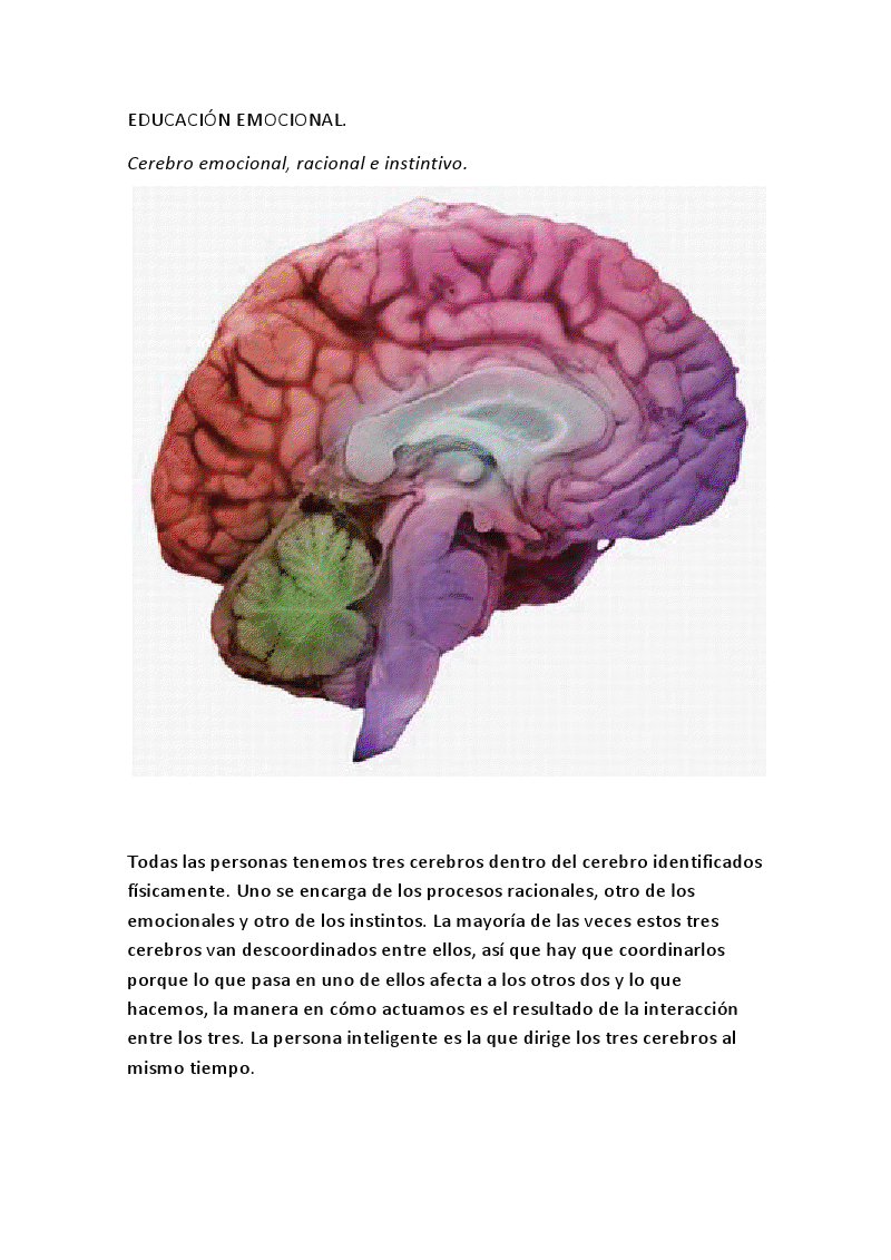 EDUCACIÓN EMOCIONAL. Cerebro emocional, racional e instintivo.