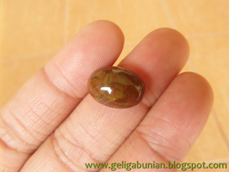 BLOG UTAMA Y.M PADUKA AYAHANDA PAY 8: GELIGA SELARAK MERAH