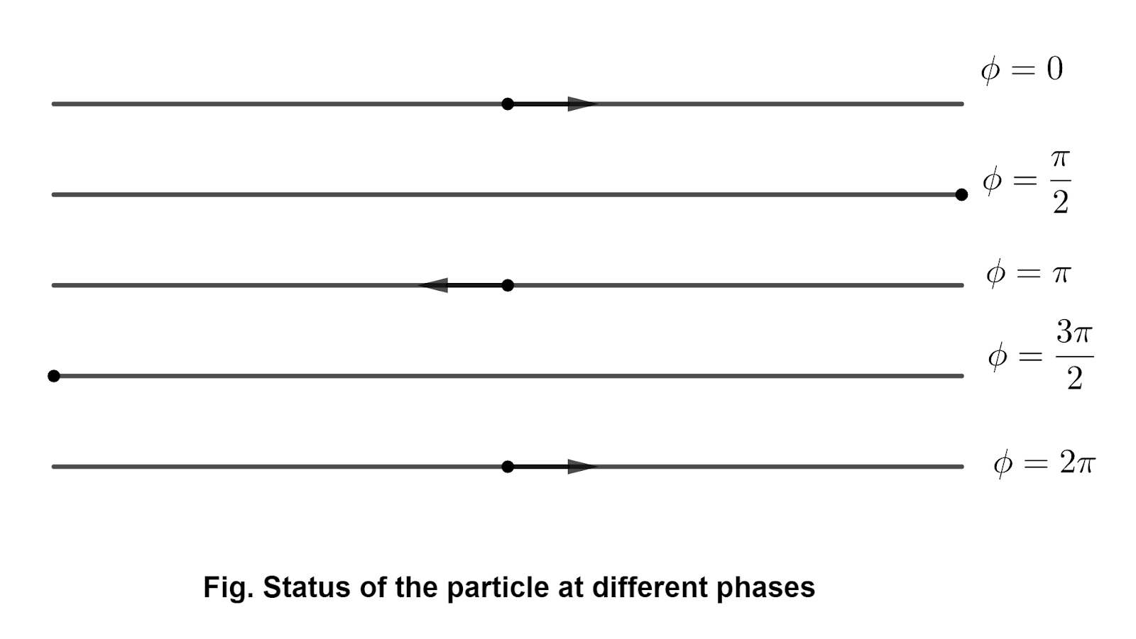 Periodic Motion | Complete Notes | Important questions | Short ...