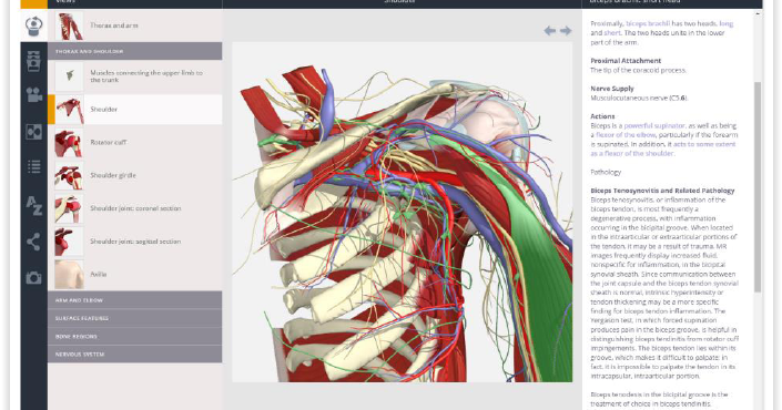 Primal Pictures anuncia lançamento de interface com nova configuração