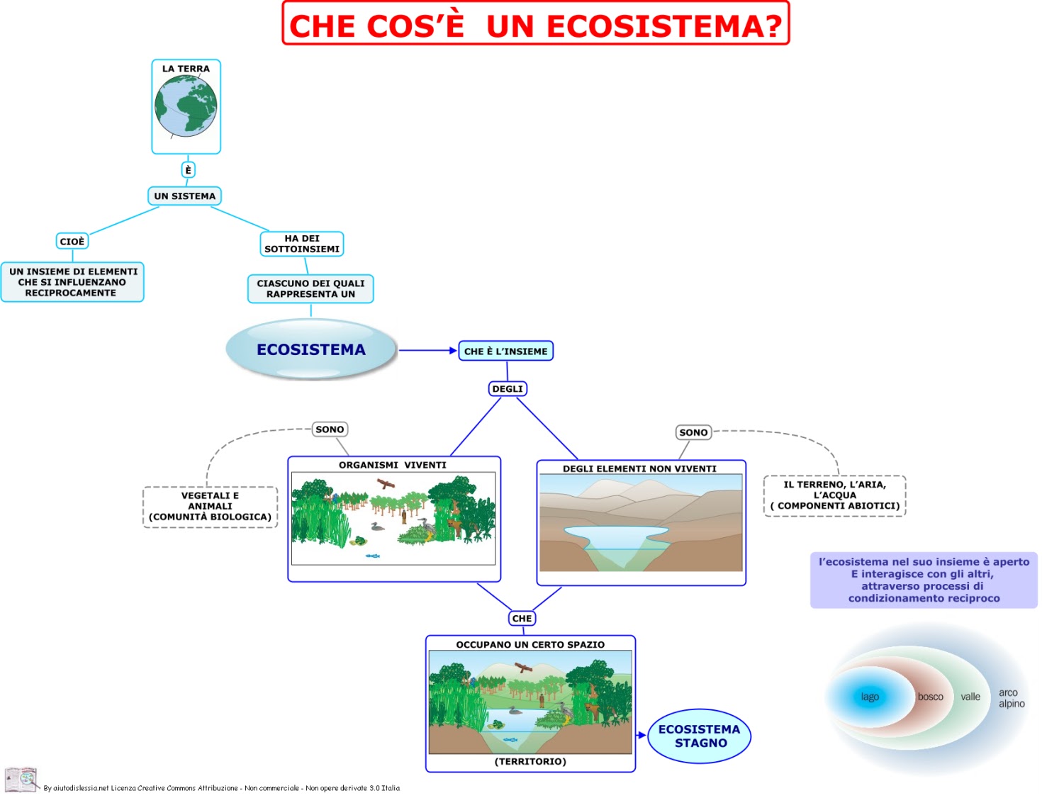 GLI AMBIENTI E GLI ECOSISTEMI GLI AMBIENTI E GLI ECOSISTEMI