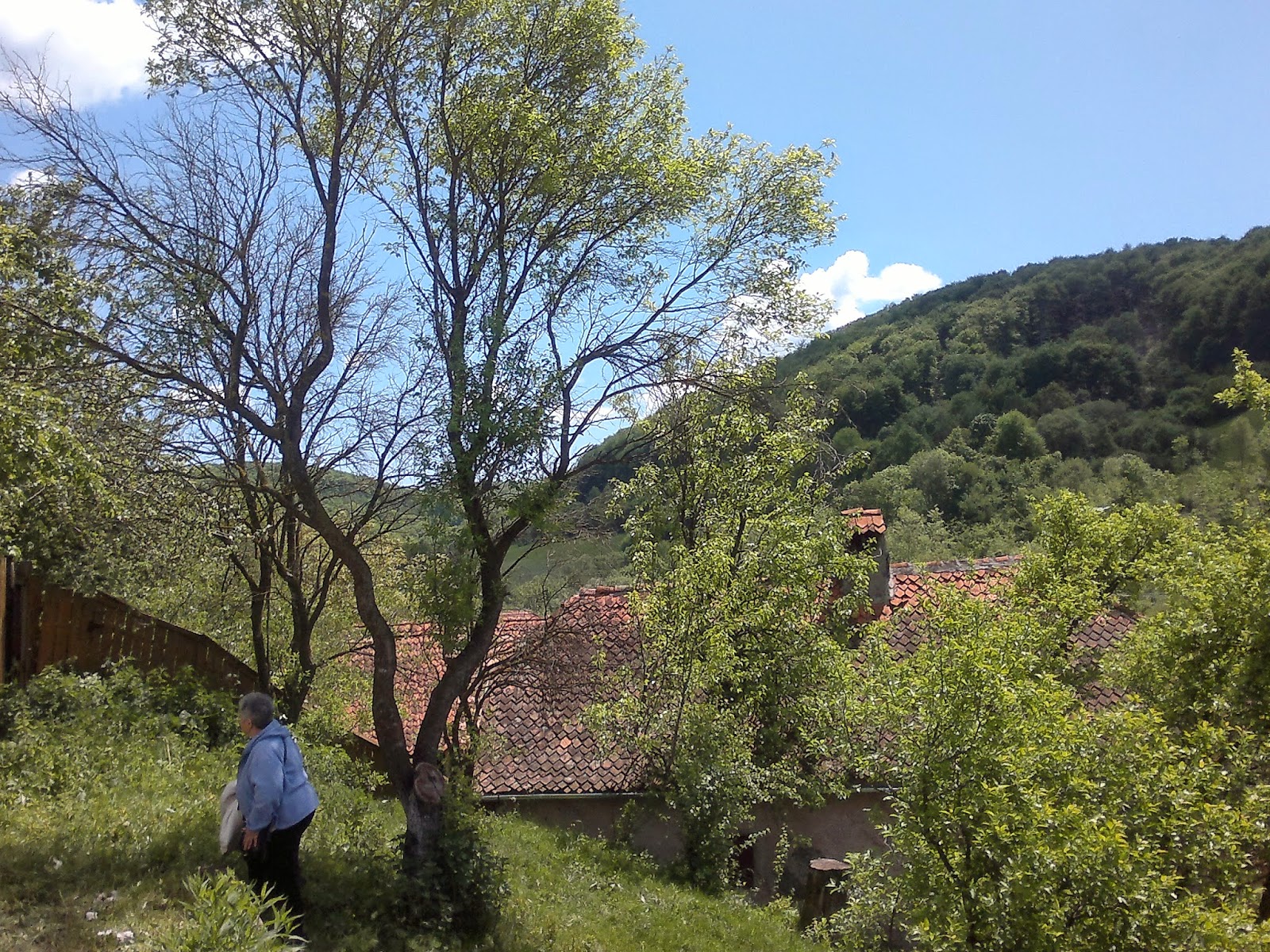 MANASTIRI-CALATORI : VALEA ZALANULUI..