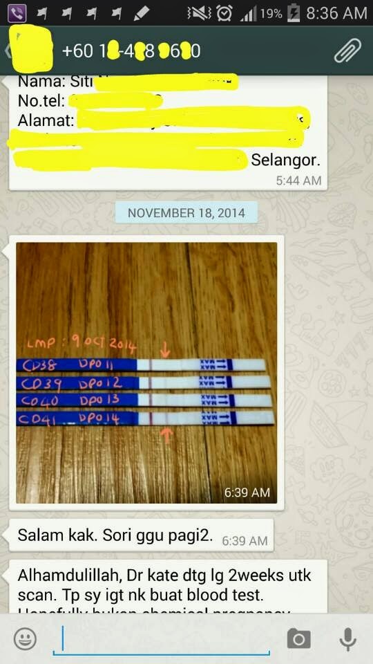 PREGNANCY TEST (UPT) MURAH GALLERY | Ovulation test kit (opk ...