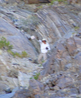 Gone To Smell the Roses: Rose Quartz