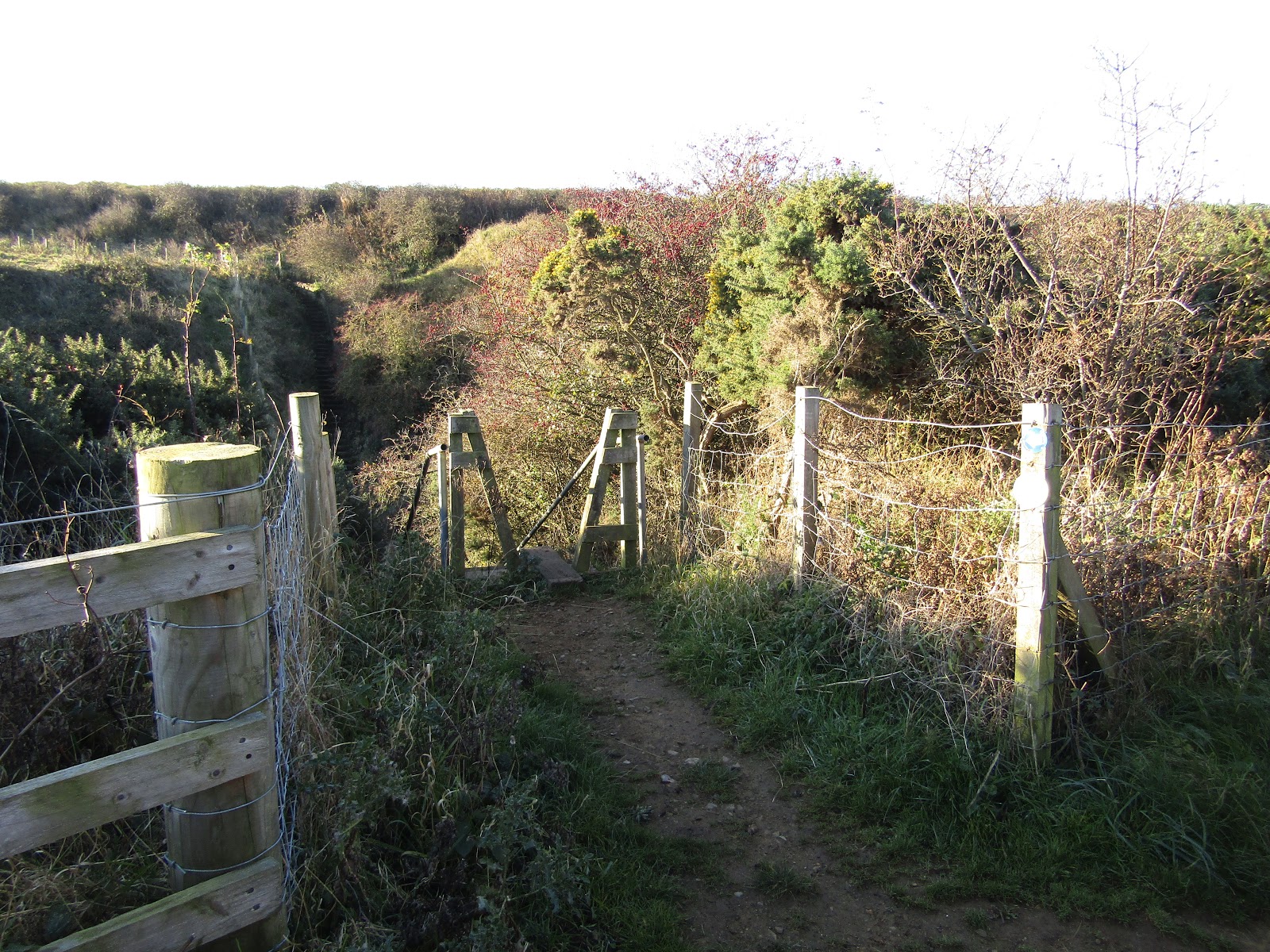 Boz North's Trail - Walking Blog: ECP - Blackhall Rocks to The Headland ...