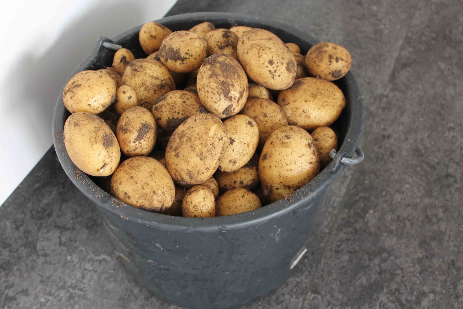 Få lite Matro: Potatis, potatis, potatis