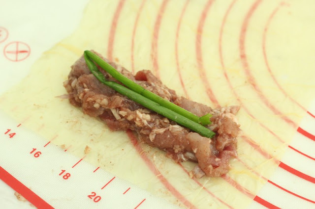 Nasi Lemak Lover: Penang Lobak (meat rolls)_2017 CNY_ 槟城炸卤肉卷_金鸡报春