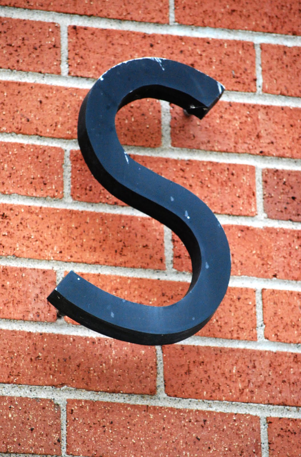 CJO Photo: Letter S - Page 1