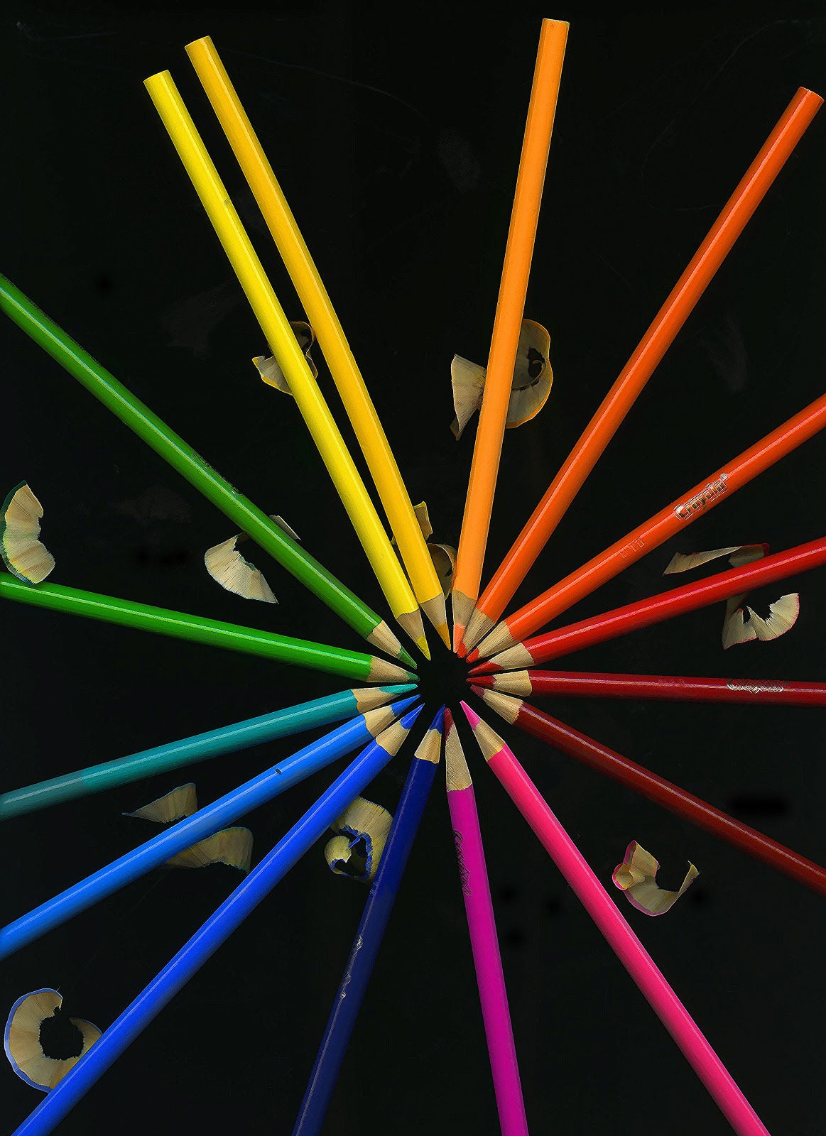 Bailey Mincer's Digital Imaging Portfolio: Scanography