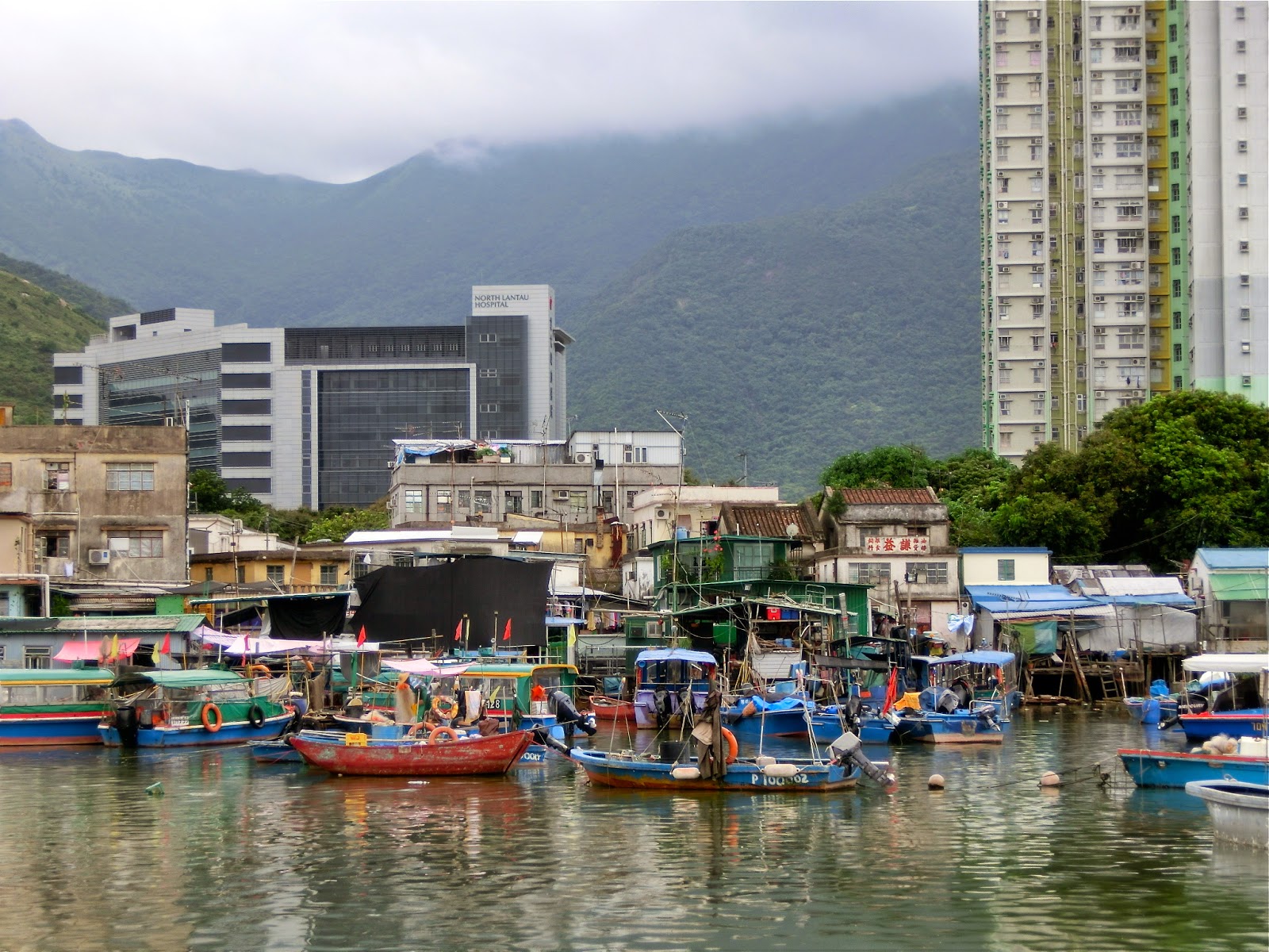 Lydia's Blog: Traveling Tuesday: Ma Wan Chung