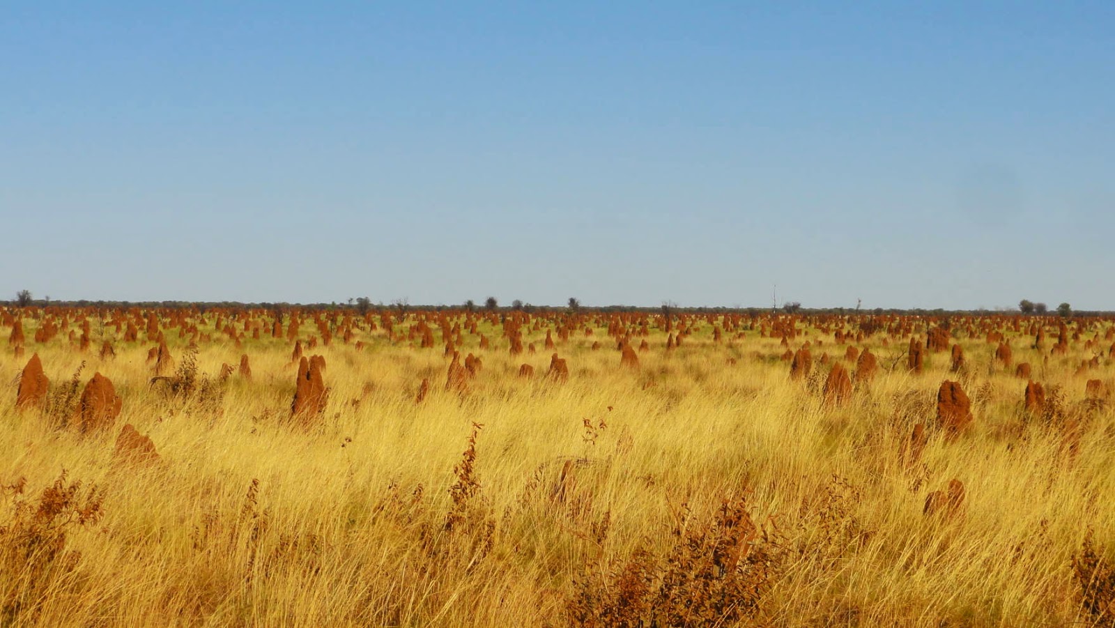 A&K Travels: Tanami Desert