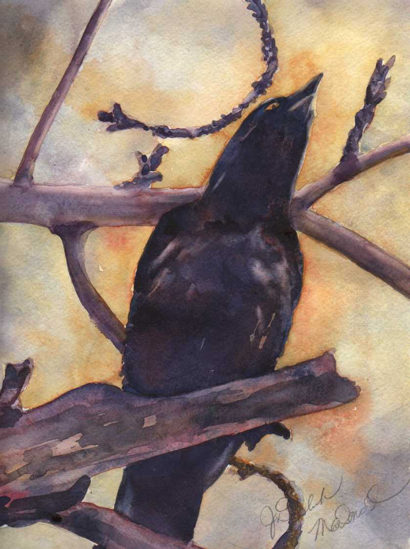 Watercolor Paintings by jdmstudios: Crow Calling...New Crow Print!