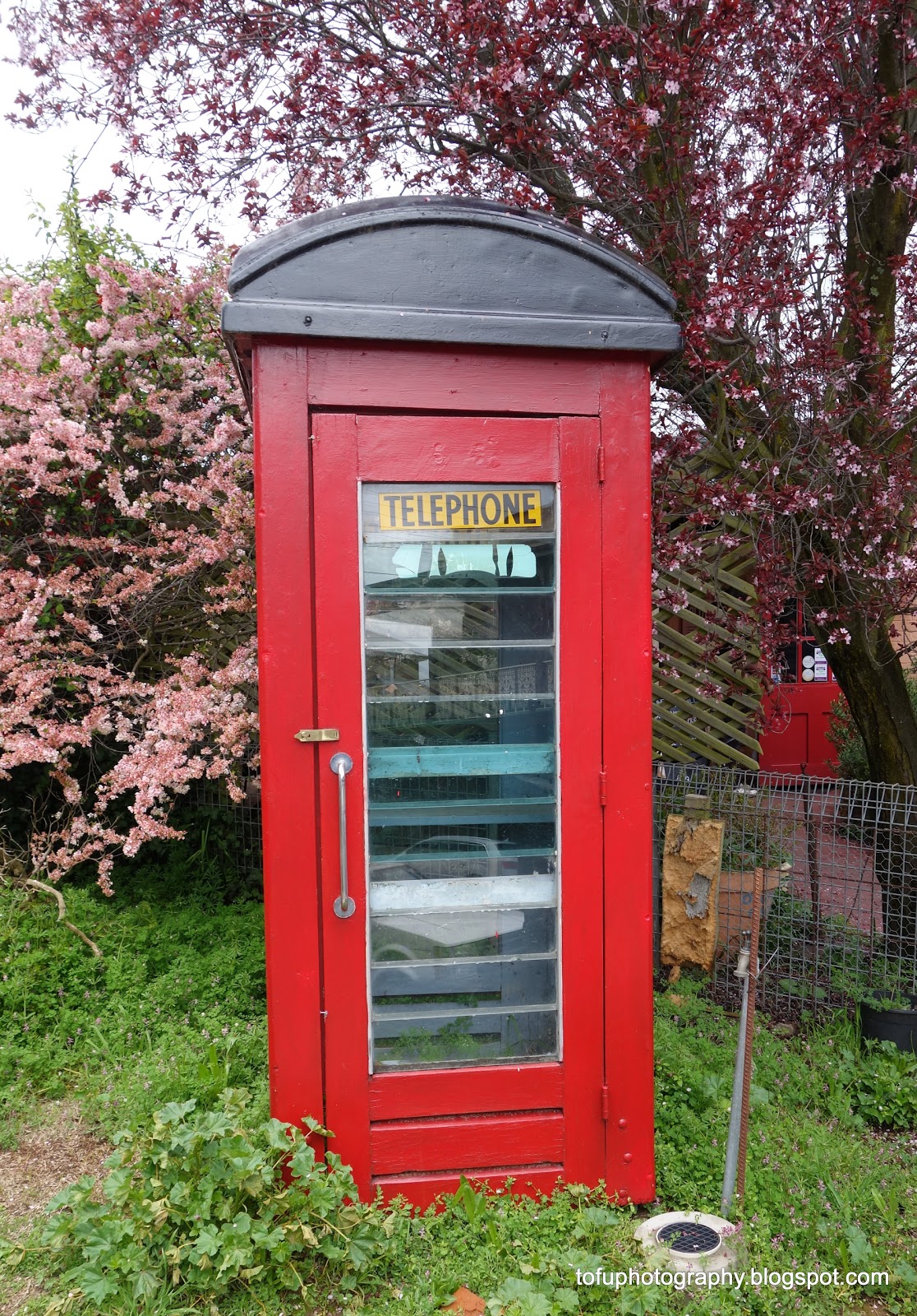 Tofu Photography: A red telephone box in a garden in Millthorpe NSW