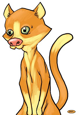 the aRt of oRen: 2011