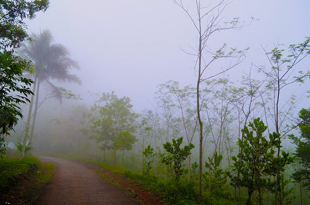 Sensasi Berburu Foto Kabut di Desa Rancah | Potret KawungLarang