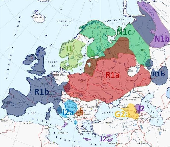 Imperio Español - Spanish Empire: Mapa genético de España