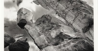 Esme Evans Photography: Strong Contrast in Texture