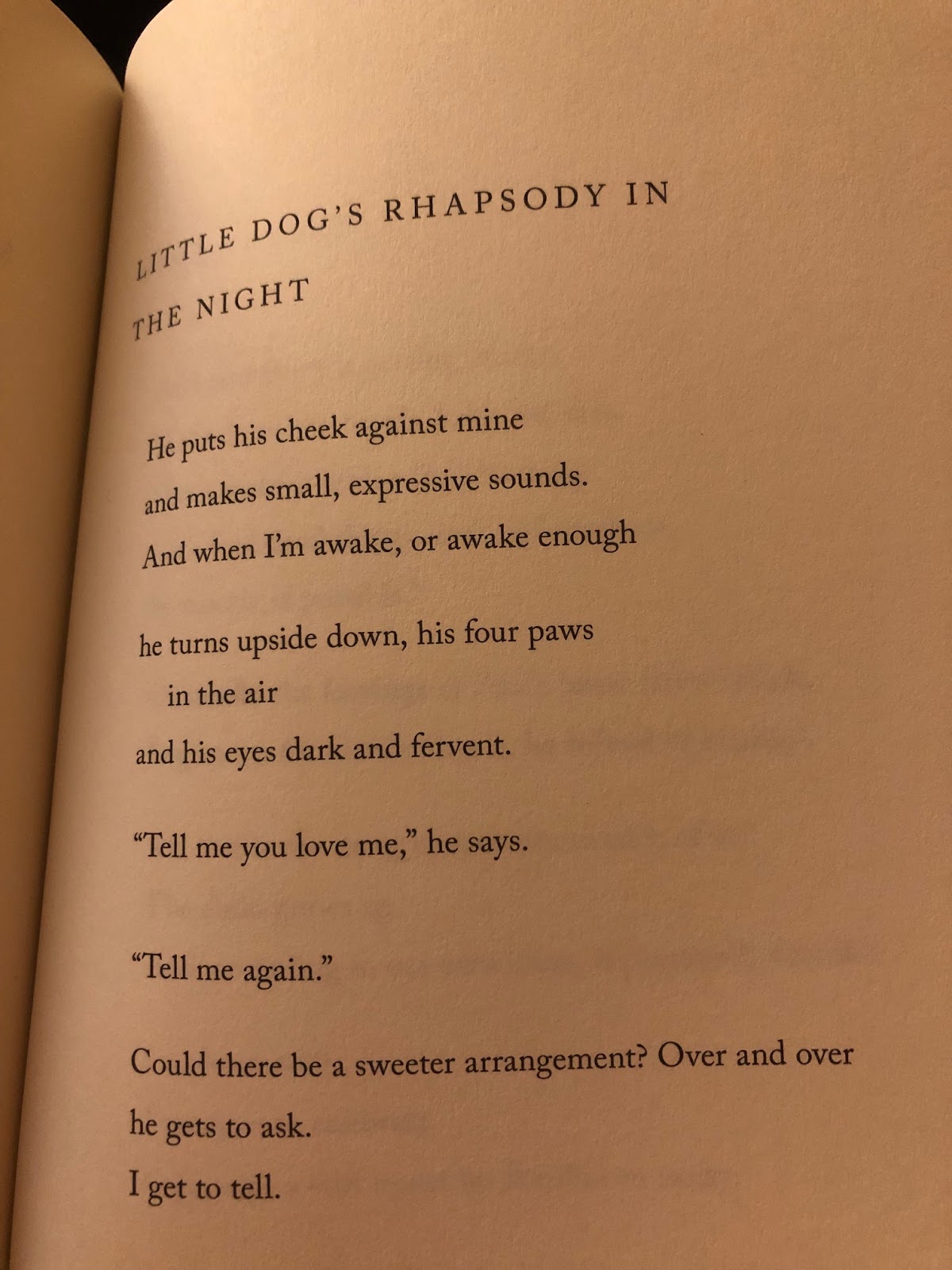 Happenings with Z5: Dog Songs - Mary Oliver