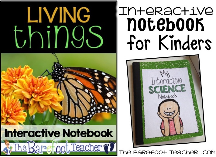 Living Things Interactive Notebook and Activities for Kids | The ...