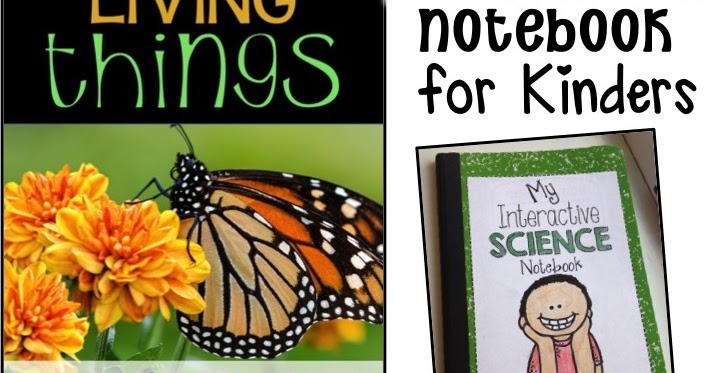 Living Things Interactive Notebook and Activities for Kids | The ...