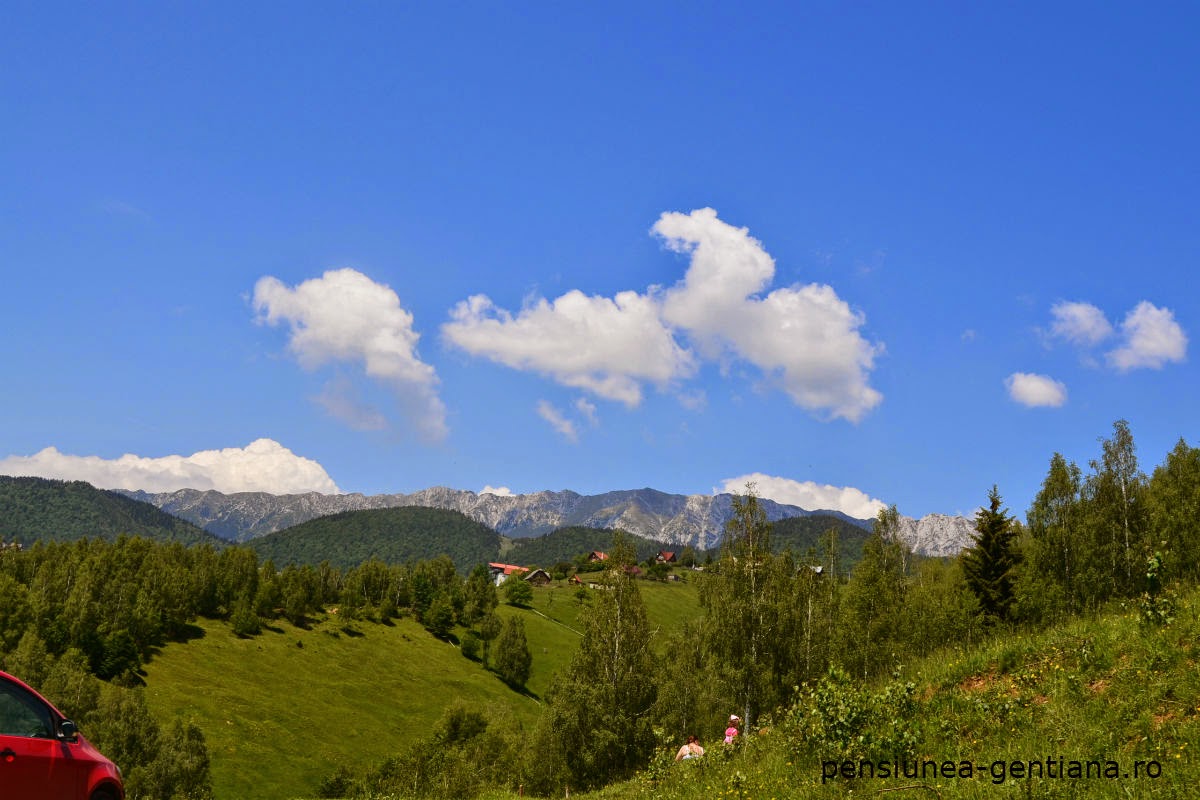 Pensiunea Gentiana: sat Pestera nr 10, Moieciu