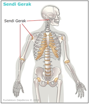 KOESHARTATI SAPTORINI: Mari Belajar "Alat Gerak"