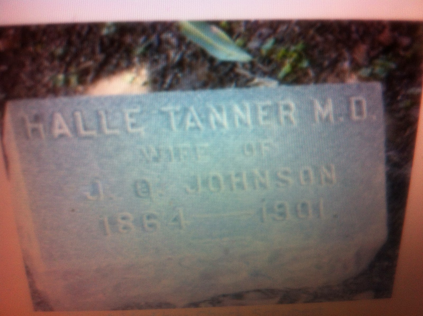 THE BLACK SOCIAL HISTORY:: BLACK SOCIAL HISTORY : AFRICAN AMERICAN ...