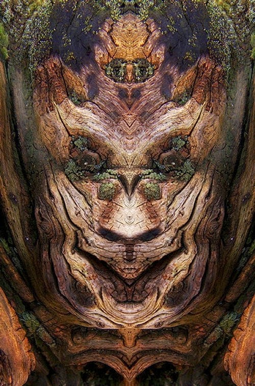 Design Stack: A Blog about Art, Design and Architecture: Mirrored Faces ...