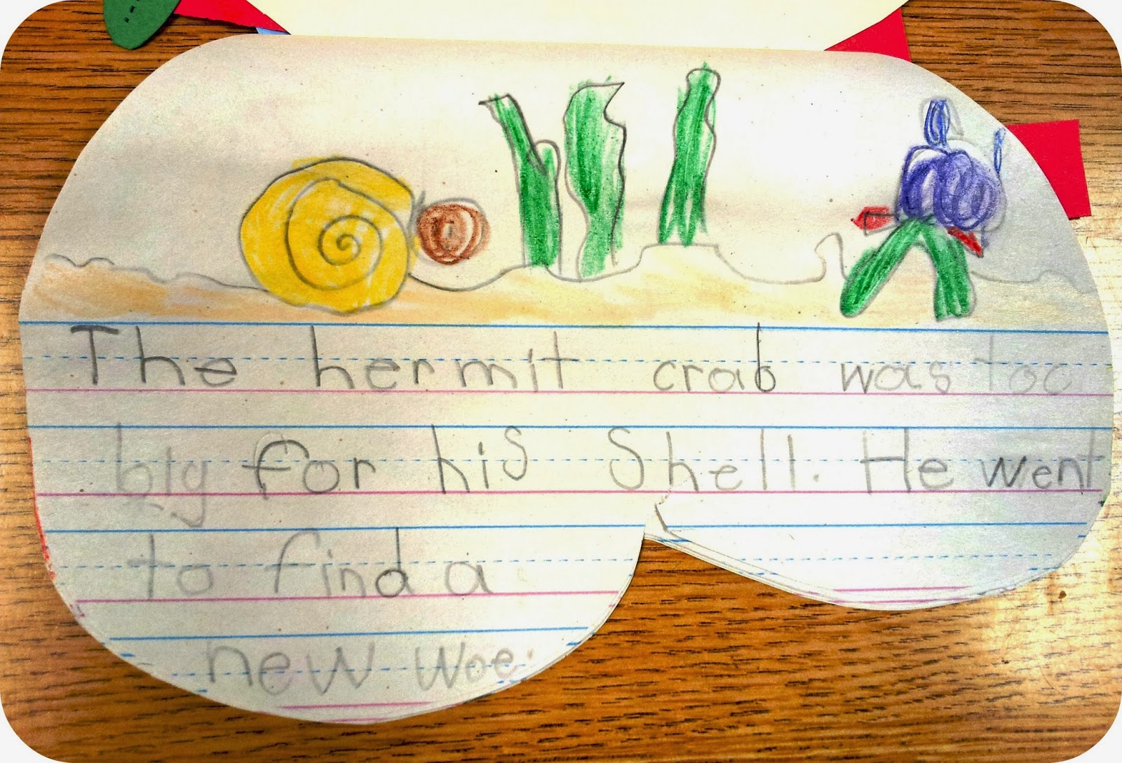 littlecubliteracy: A House for Hermit Crab