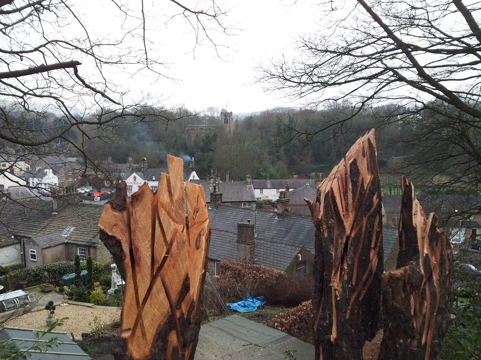 Arbography: Coronet Cuts