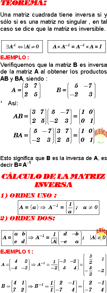 DETERMINANTES EJERCICIOS RESUELTOS PDF