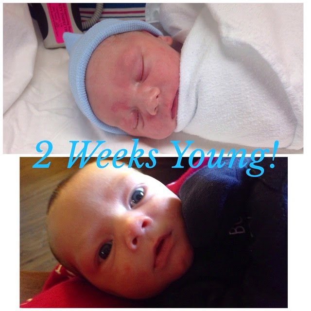 Dance and Dream 4 Ever