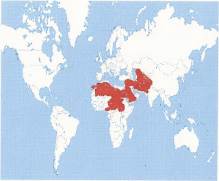 Just Genesis : The Afro-Asiatic Dominion