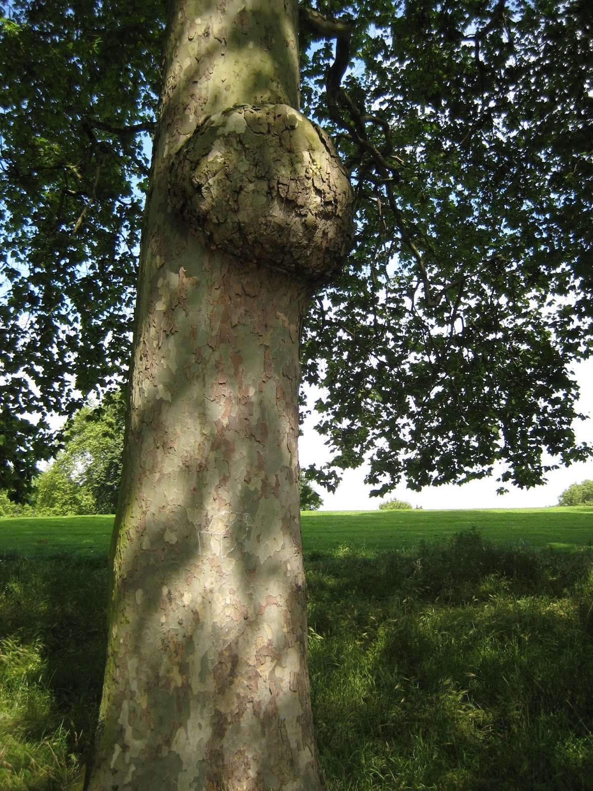 Tales of the March Hare: July 2012