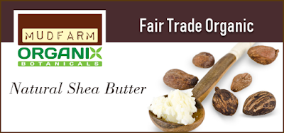 Toronto Natural Shea Butter: Protect your skin this winter naturally ...
