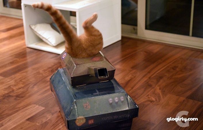 GLOGIRLY: Cat Tank Assembly 101