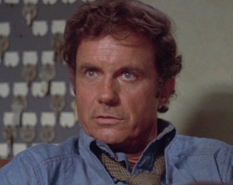 CANON MOVIES: FRANK PERRY: TOP FILMS