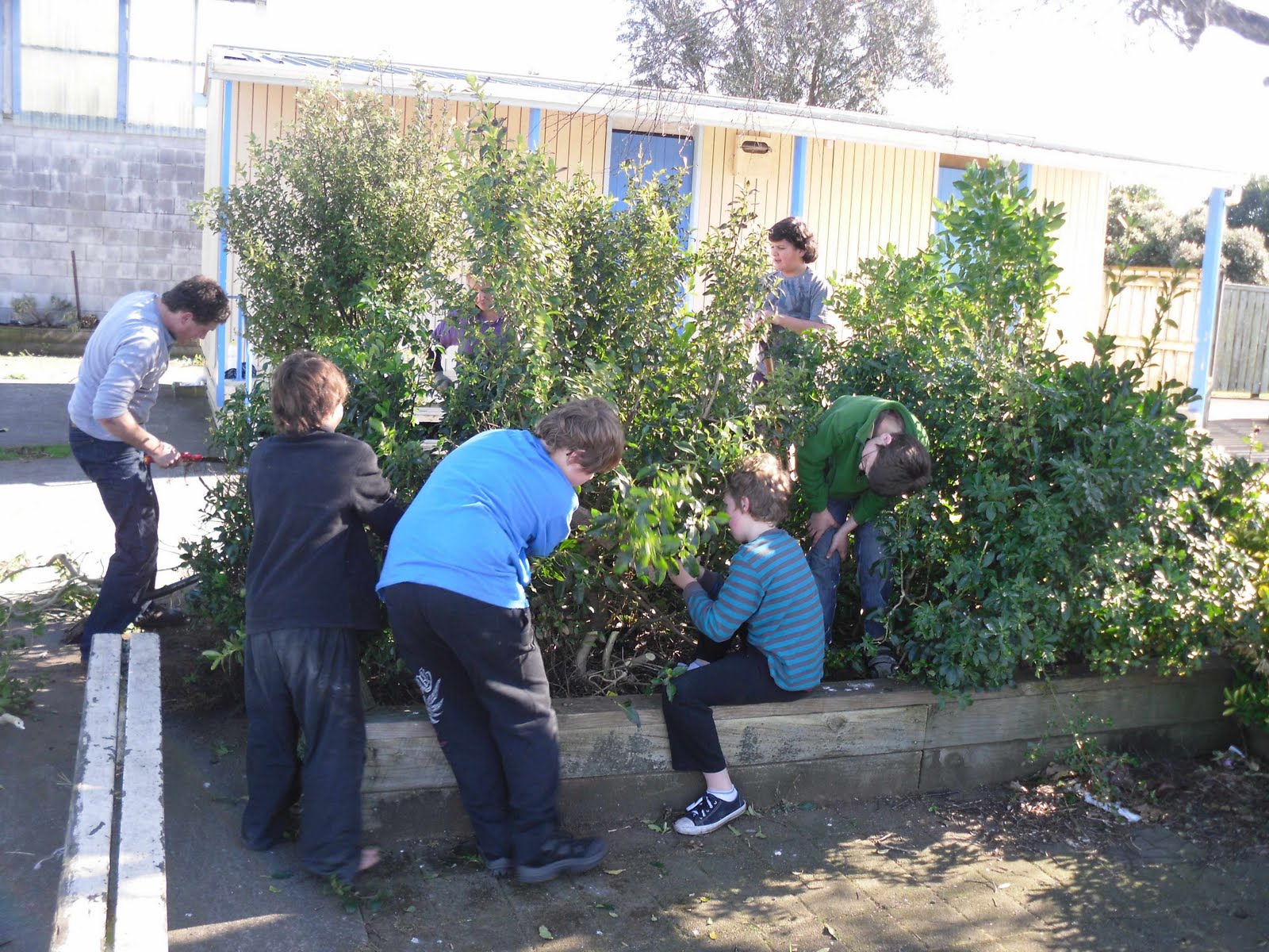 Our School Vege Garden Project: The Big Clean Up