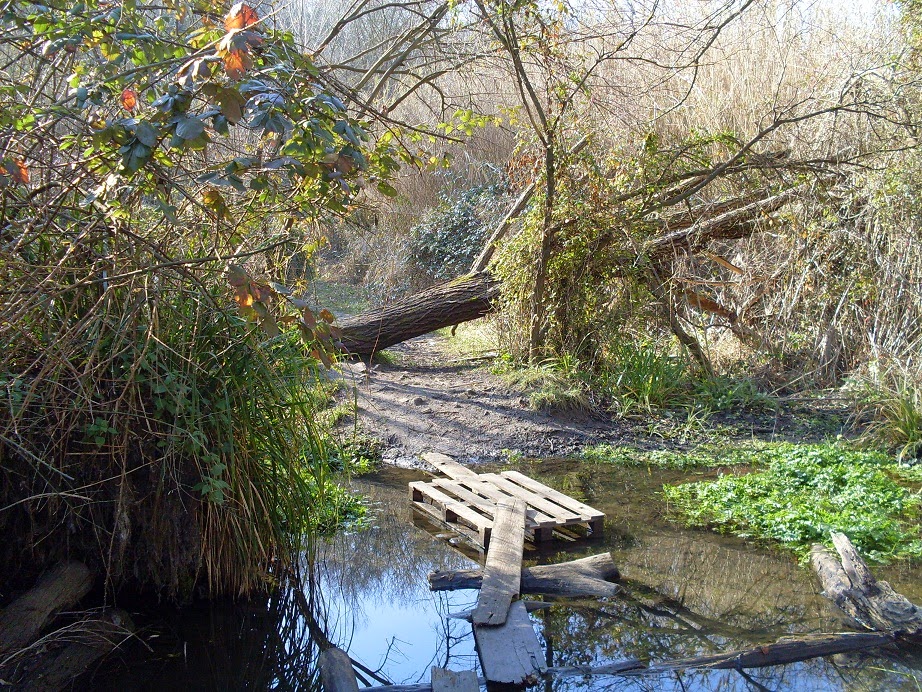 ROMA FA SCHIFO: 25 foto dopo un'escursione dell'orrore al Parco del ...