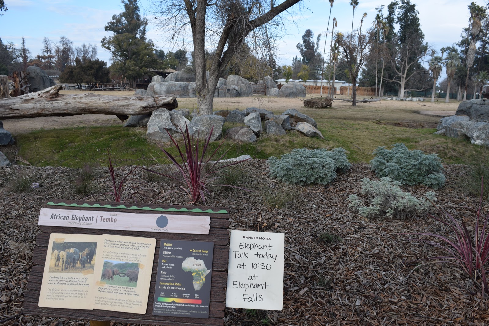 Thoughts on Chaffee Zoo Expansion and Roeding Park (with pictures ...