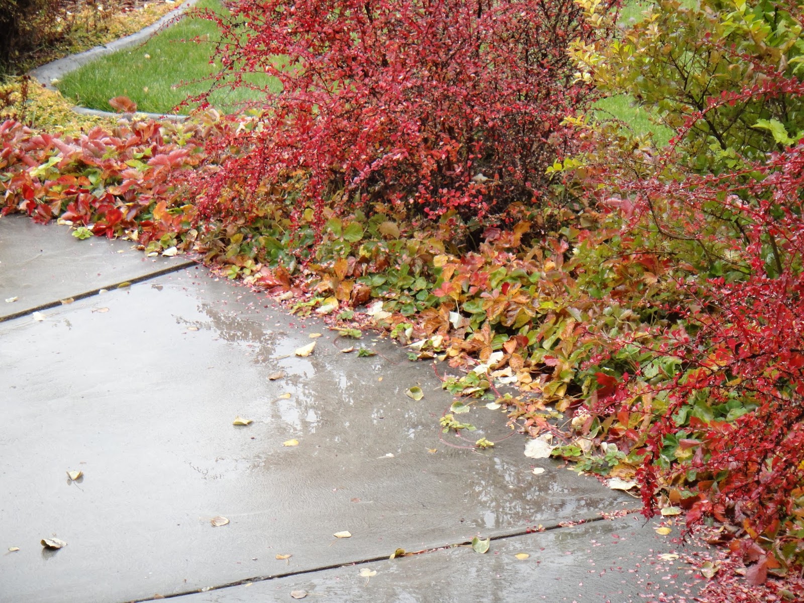 Trudy Tibbitts Roberts: Pumpkins & Autumn