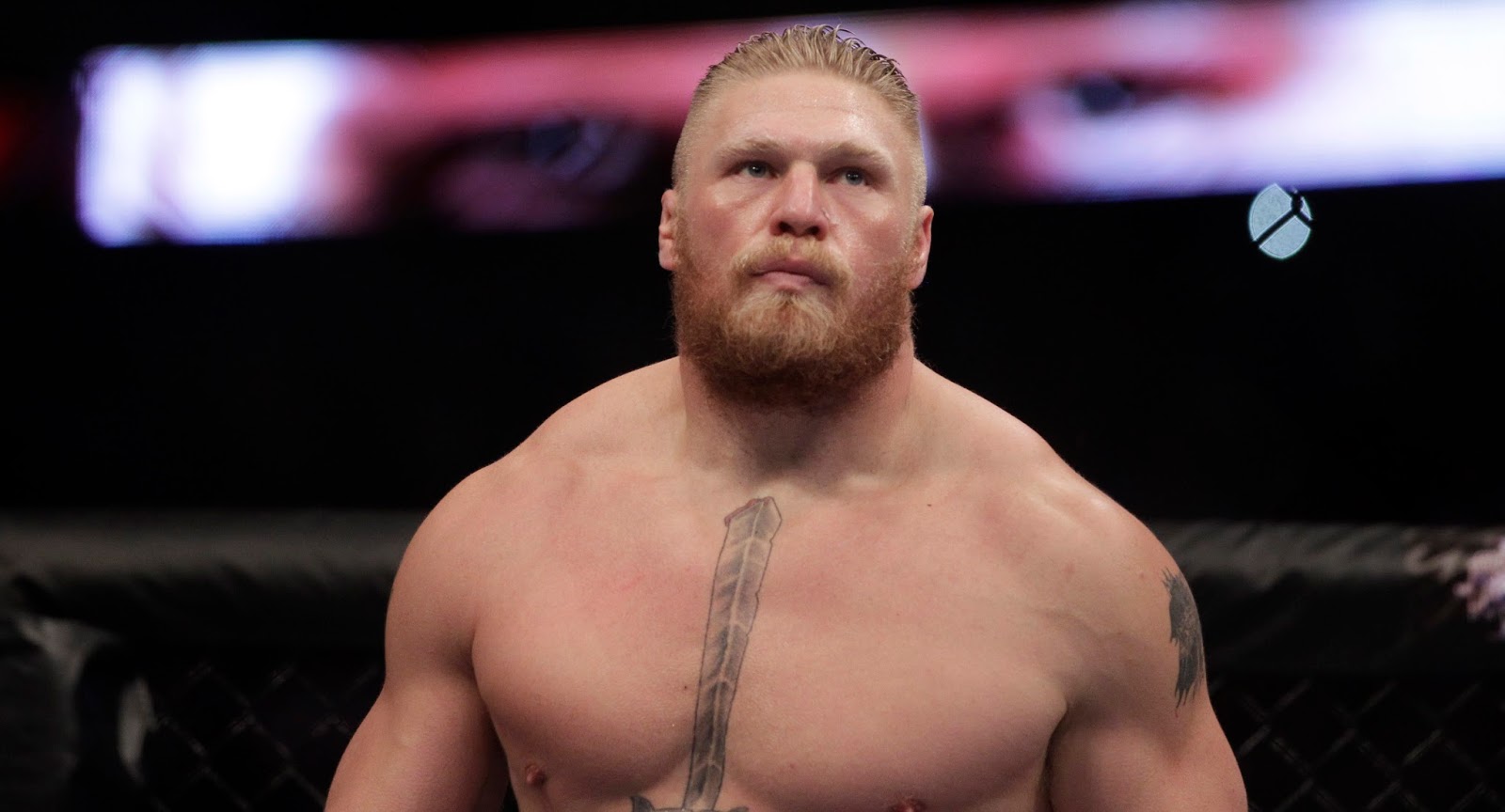Fatos interessantes e curiosos sobre Brock Lesnar - Opinião Wrestling