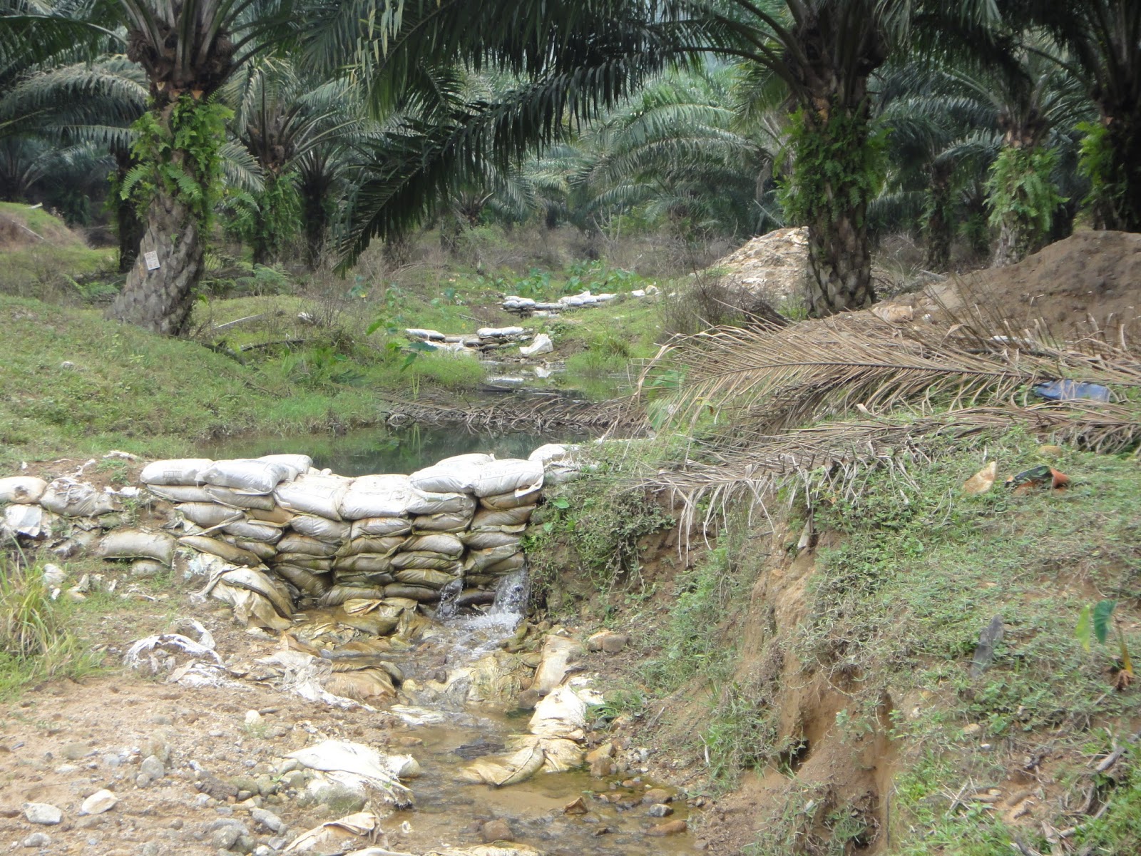 NILAIMAS SERVICES (TIA, TMP, EIA, ESCP, SIA CONSULTANT ) REGISTERED ...